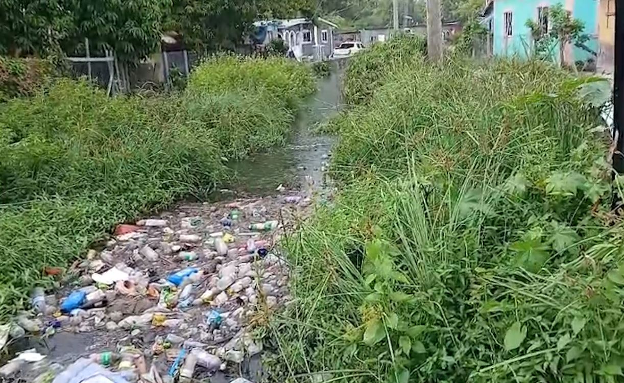 Gully Cleaning Underway In Flood-Prone Bamboo River